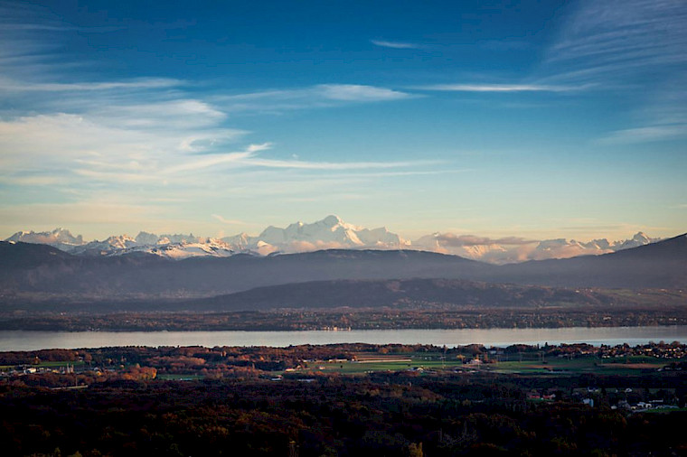 Swiss domiciled patients | Swiss Medical Network